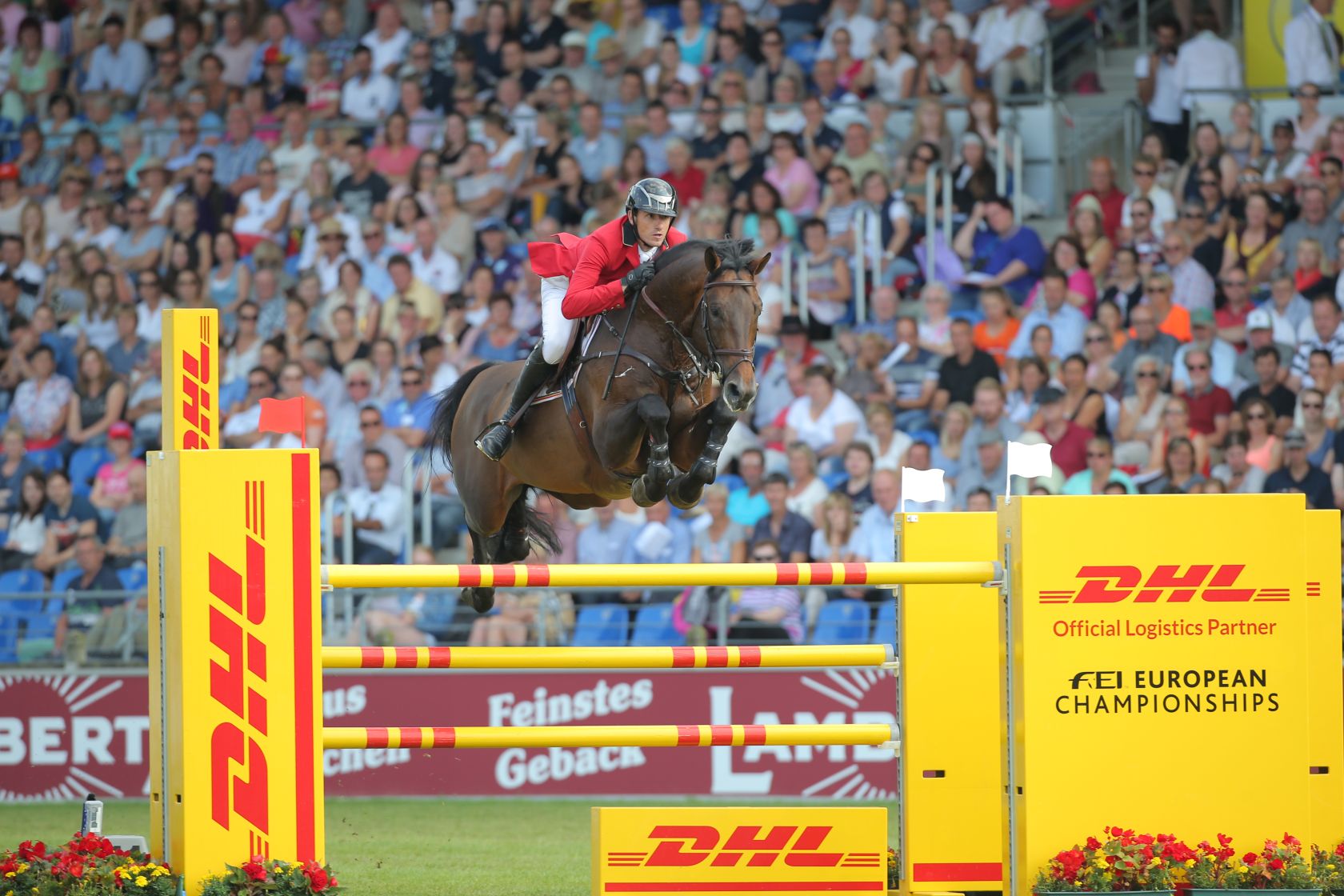 HH CONRAD Z - Precision in sport, powerful in breeding! | Studfarm Zangersheide